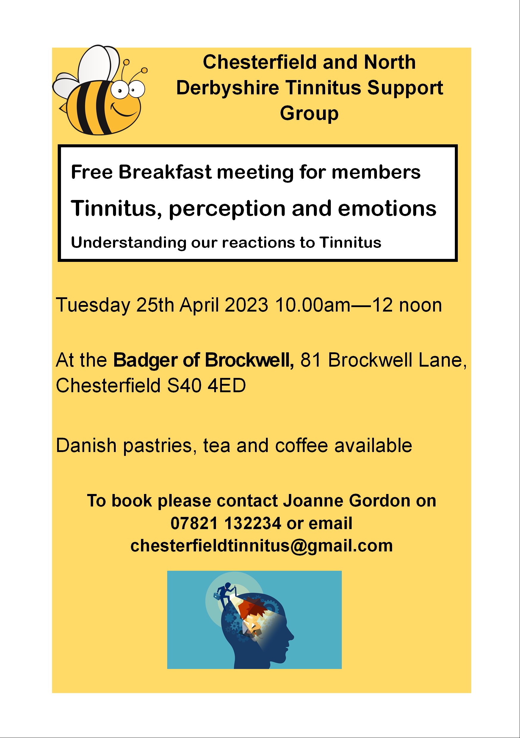 Workshop Understanding Tinnitus Ndtsg